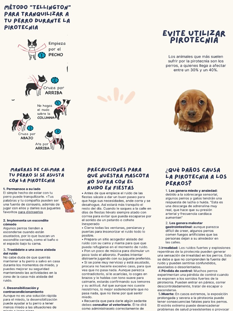 Folleto Para Evitar La Pirotecnia | PDF