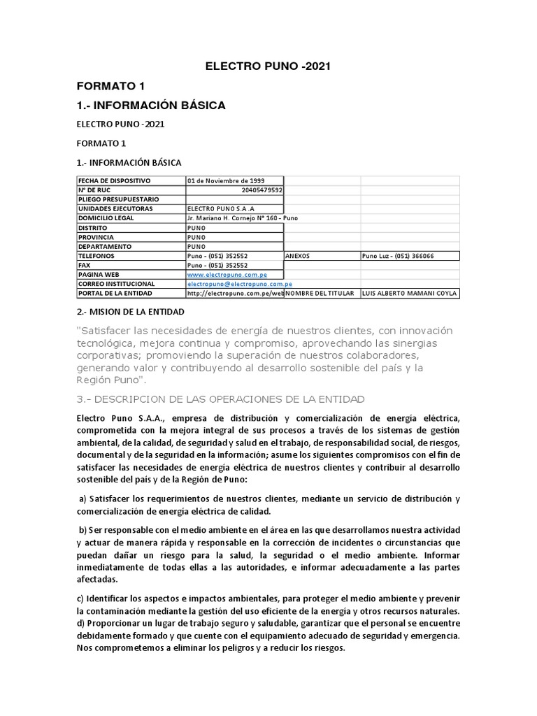 Electro Puno 8 Primeras Paginas Del Formato 1 | PDF | Presupuesto | Auditoría