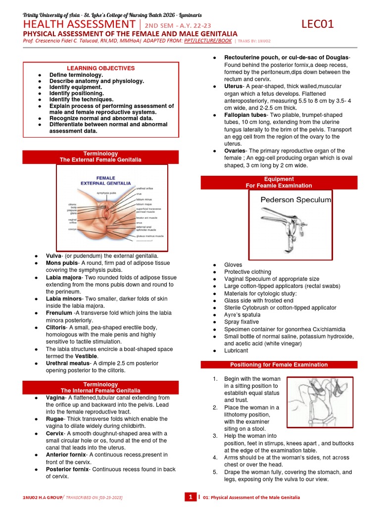 Lec01 - Assessing Male and Female Genitalia | PDF | Labia | Vagina
