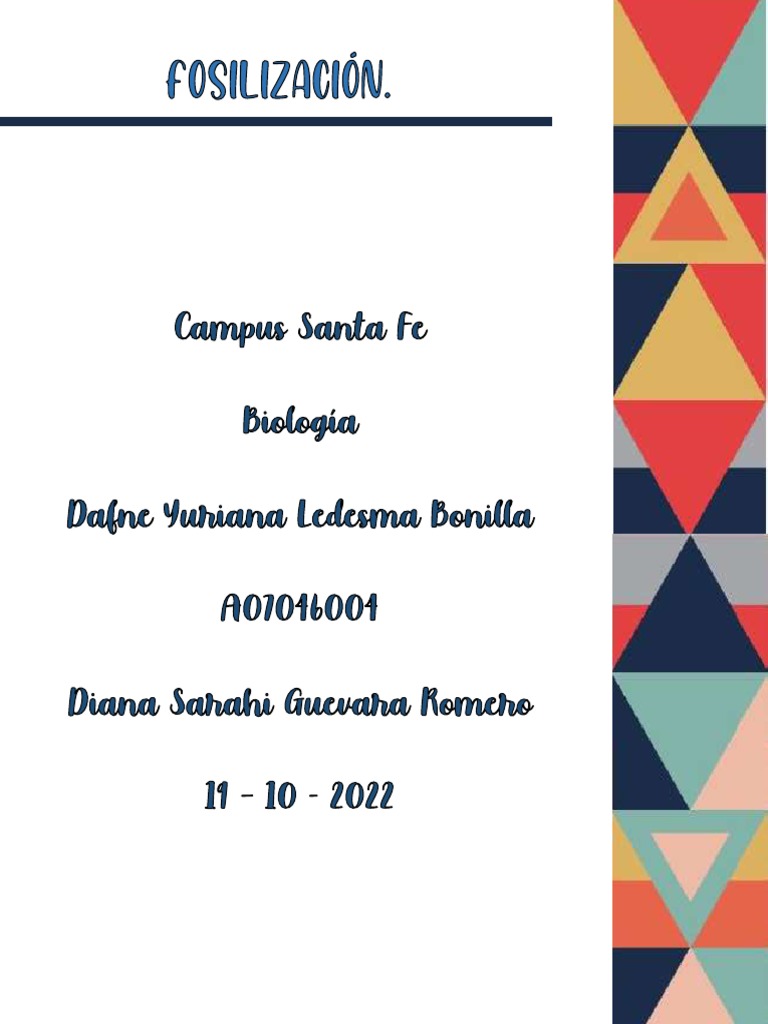 Actividad Evaluable Semana 8 | PDF | Fósil | Ciencias de la Tierra