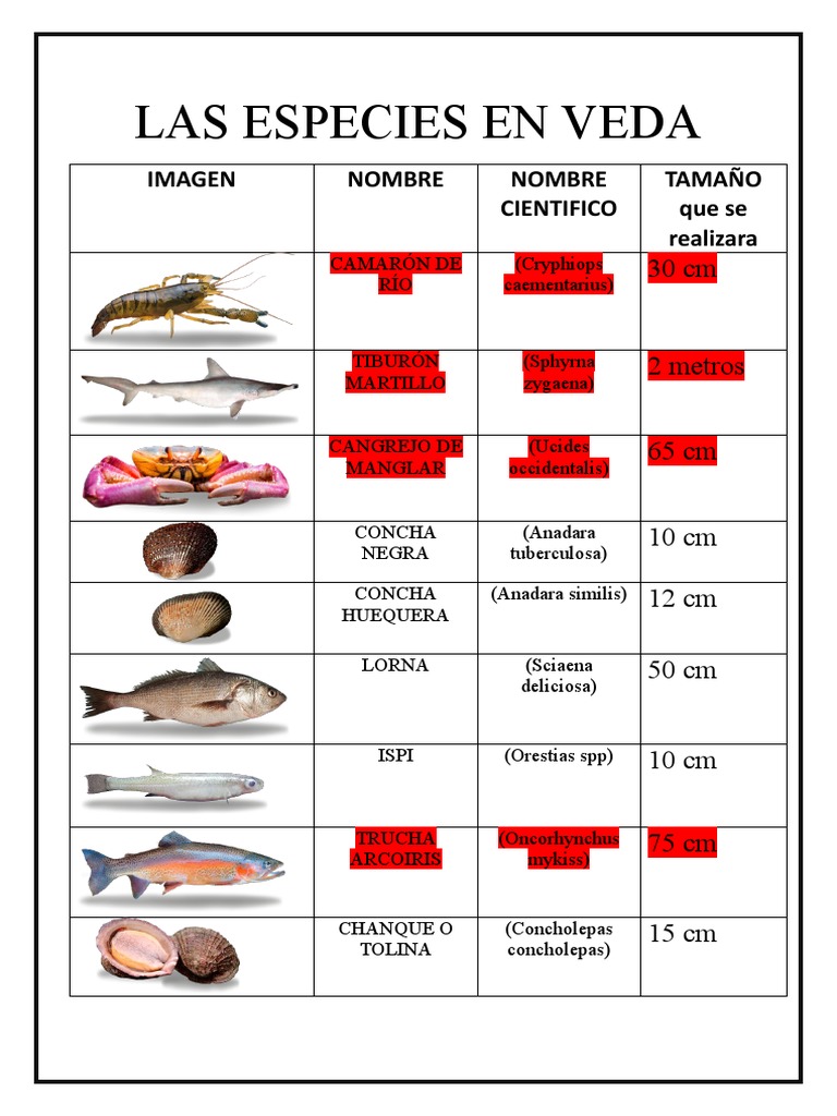 Especies en Veda en Colombia | PDF | Ciencias sociales