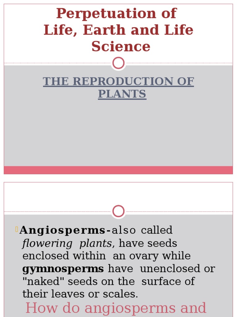 LECTURE 6 Perpetuation of Life.ppt | PDF | Fertilisation | Flowers