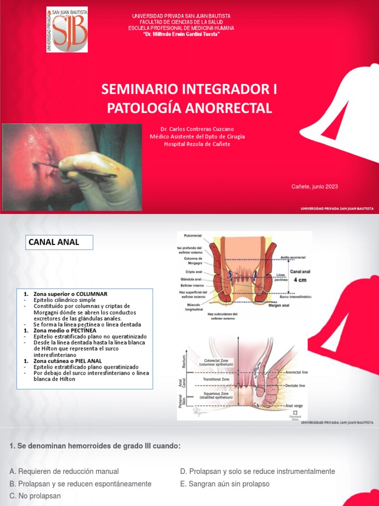 Patología Anorrectal y Tratamientos | PDF | Hemorroides ...