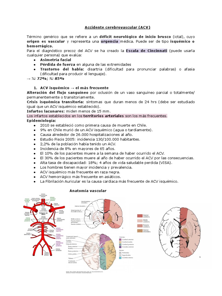 Accidente Cerebrovascular (ACV) | PDF | Carrera | Isquemia
