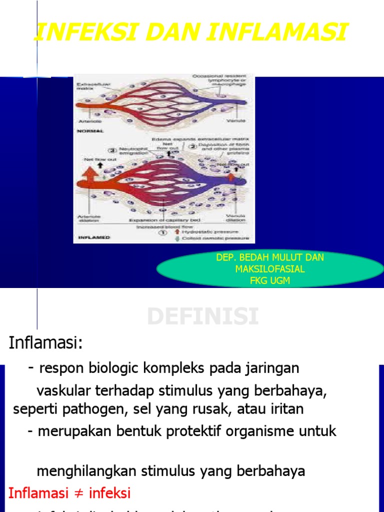 Infeksi Dan Inflamasi | PDF