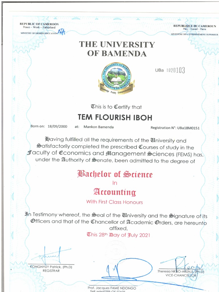 Tem Flourish Certificat | PDF
