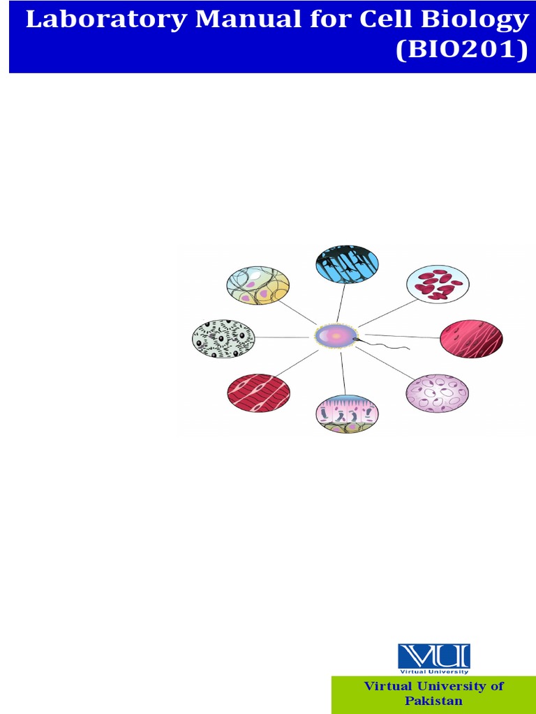 Cell Biology Laboratory Manual Overview | PDF | Meiosis | Mitosis