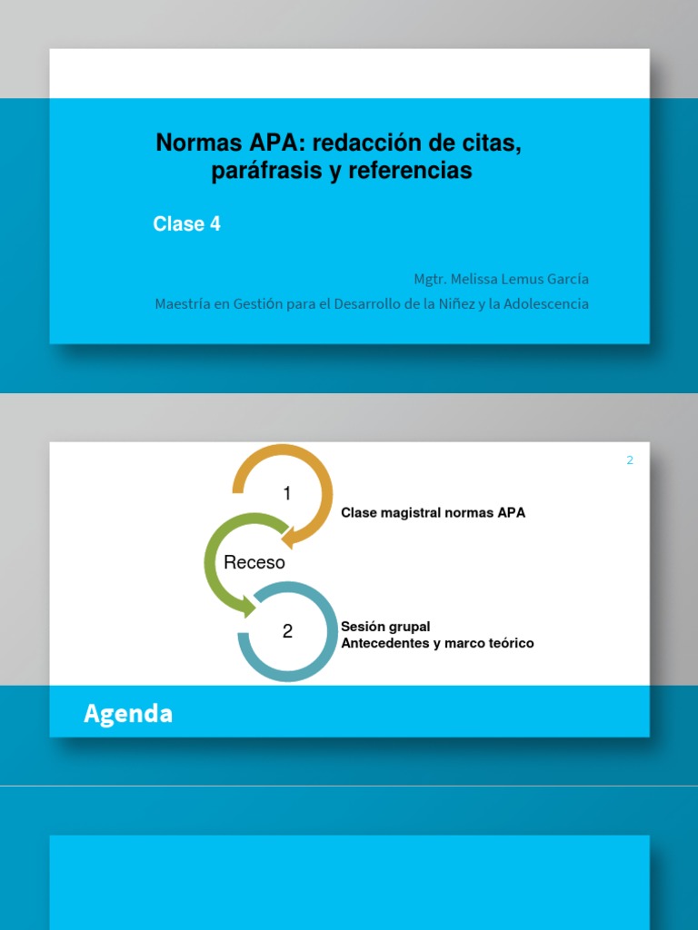 Clase 4 Normas APA | PDF | Estilo apa | Red mundial
