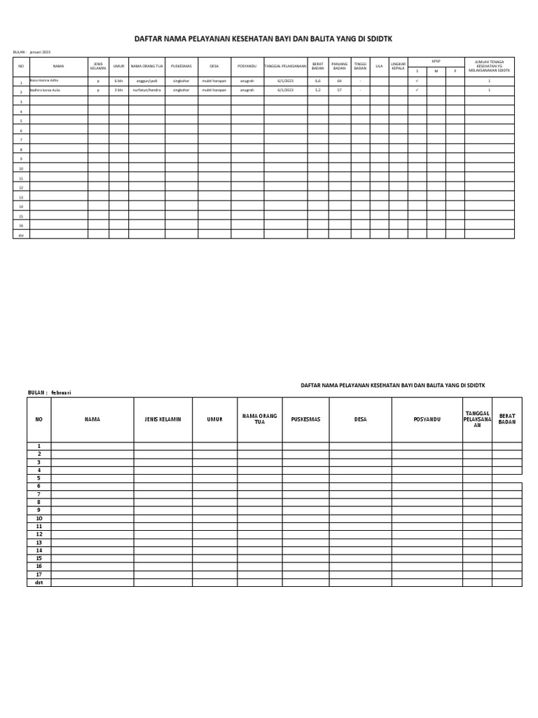 Laporan Sdidtk | PDF