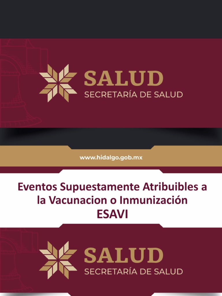 Presentacion ESAVI | PDF | Relaciones personales, crianza y desarrollo ...