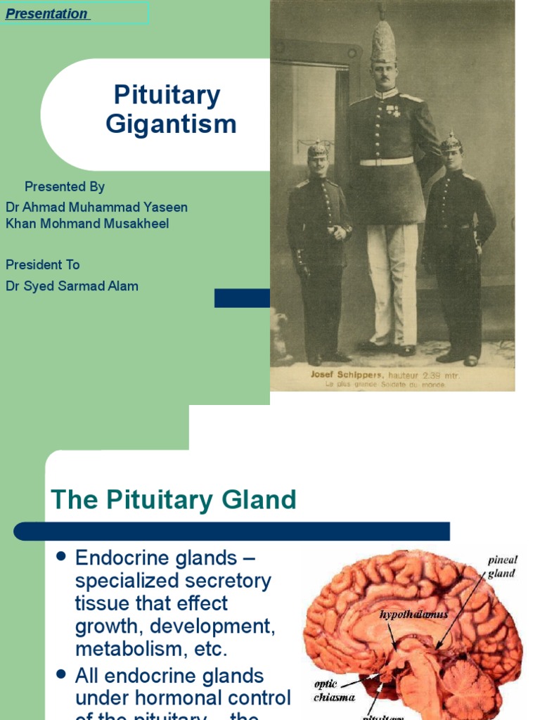 Understanding Pituitary Gigantism | PDF | Growth Hormone | Pituitary Gland