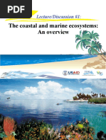 Kelp Forest Food Web Overview | PDF