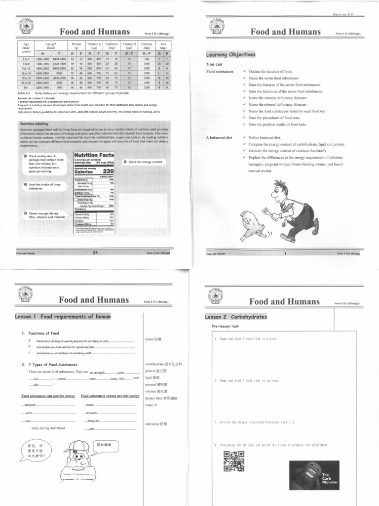 Food and Humans | PDF