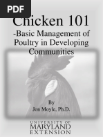 Road Runner Chicken Farming in Zimbabwe | PDF | Chicken | Egg