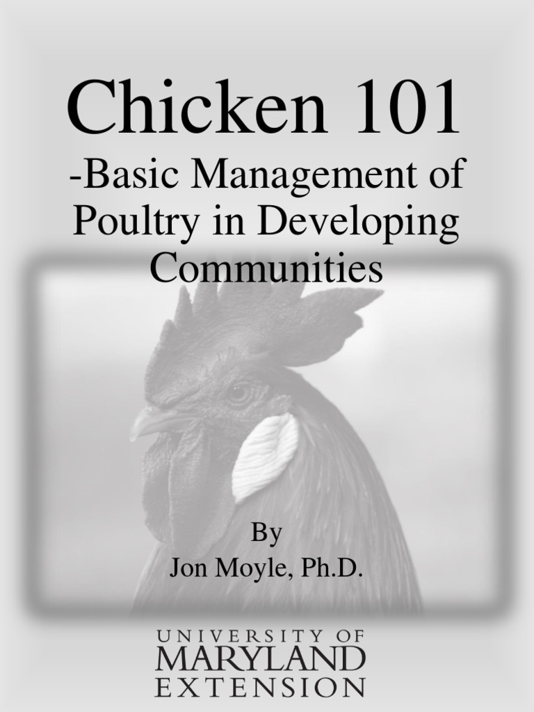 Poultry Management Basics for Communities | PDF | Chicken | Egg