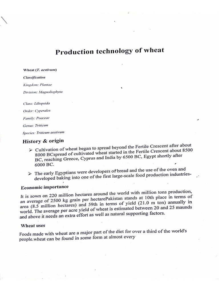Production Technology of Wheat | PDF