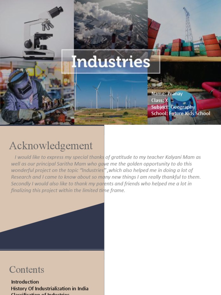 Class X Geography Project | PDF | Cement | Ice Cream