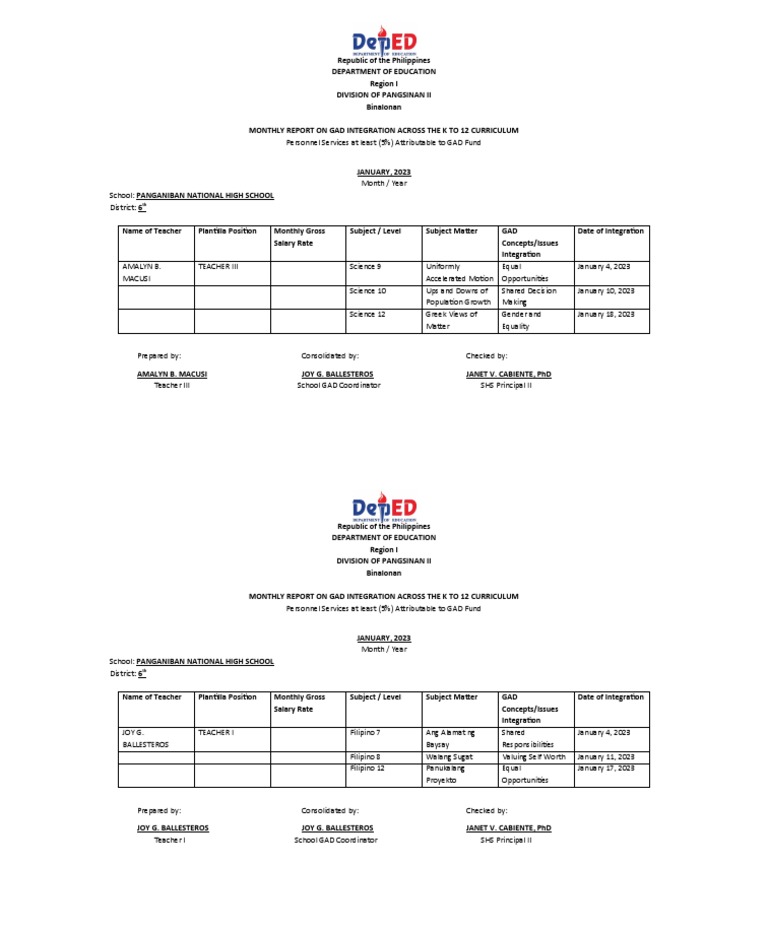 Monthly Report On GAD Integration Template | PDF