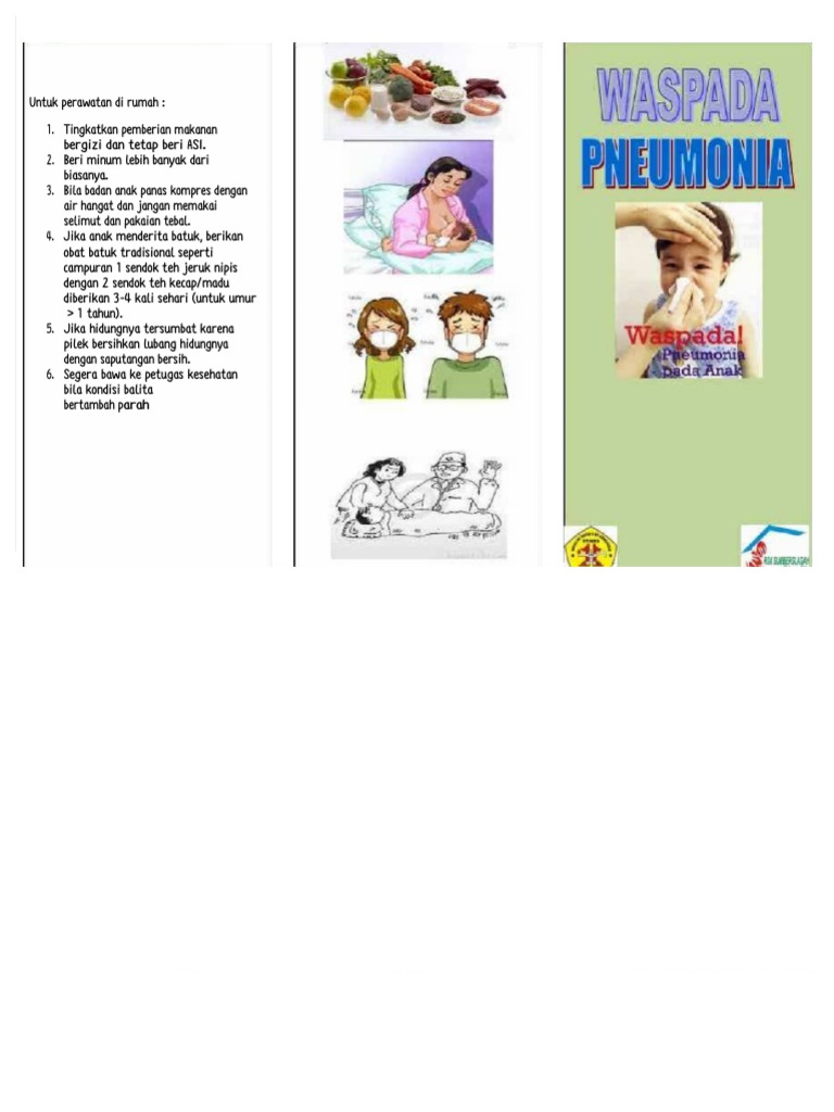 Leaflet Pneumonia Sandra | PDF