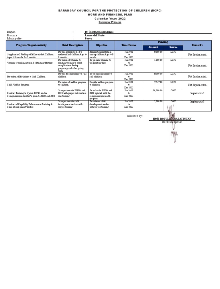 Awfp (BCPC) | PDF | Malnutrition | Pregnancy