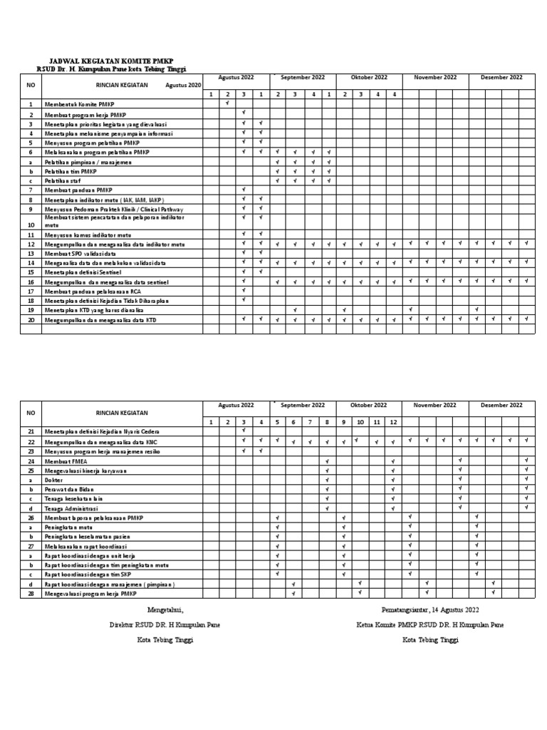 Jadwal Kegiatan Komite PMKP RSUD 2022 | PDF