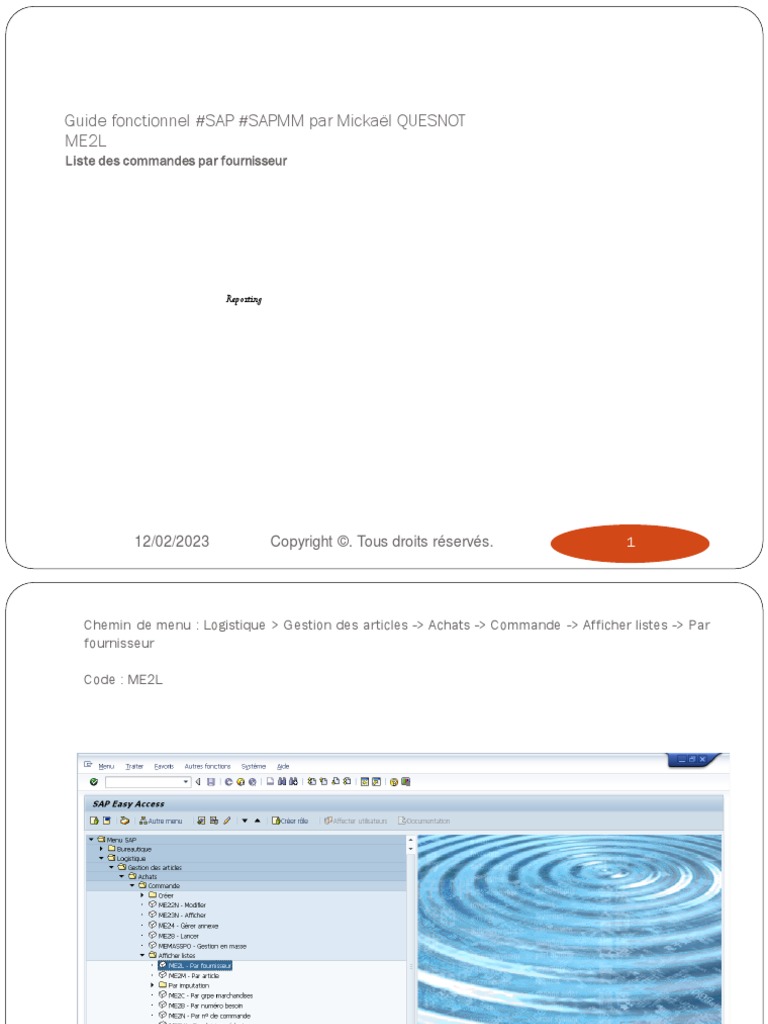 Liste des commandes SAP par fournisseur | PDF
