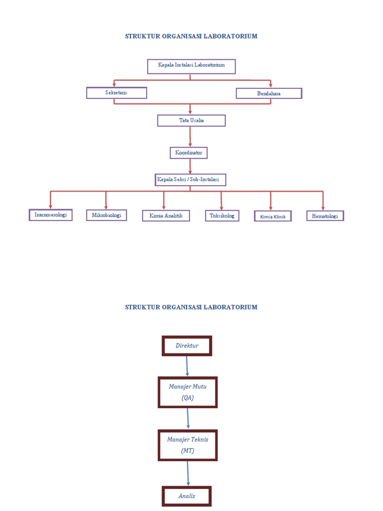 Struktur Organisasi Laboratorium Kimia Klinik | PDF