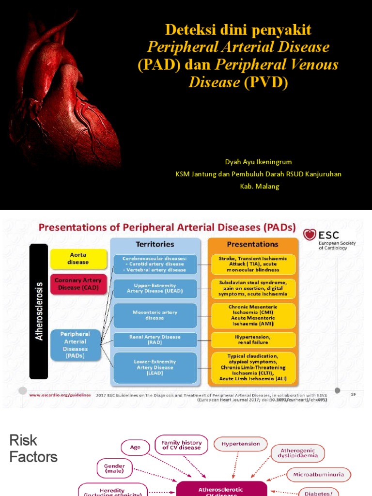 Deteksi Dini Penyakit Peripheral Arterial Disease (PAD) Dan Peripheral Venous Disease (PVD) | PDF