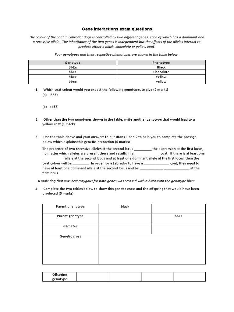 Genetics Quiz for Students | PDF