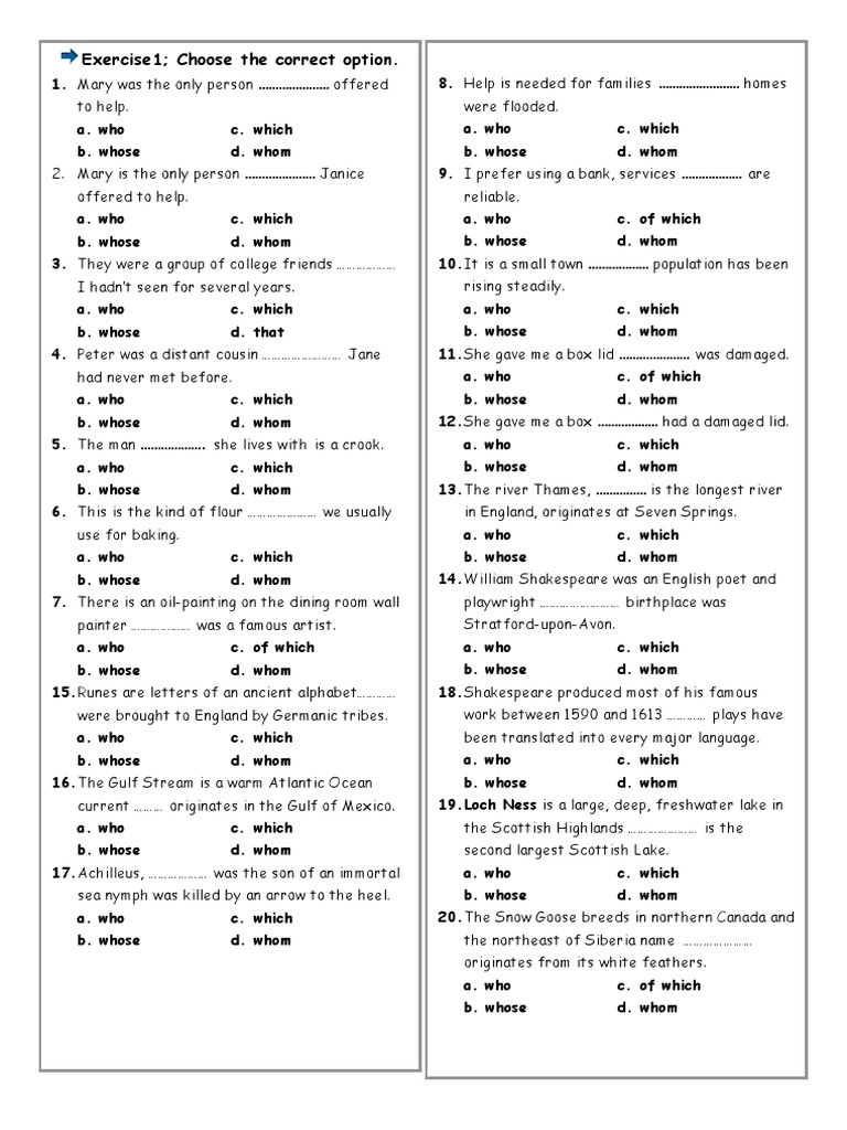 Relative Clauses Grammar Drills Grammar Guides 62339 | PDF