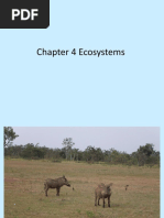 Sonoran Desert Ecosystem Guide | PDF | Food Web | Ecosystem