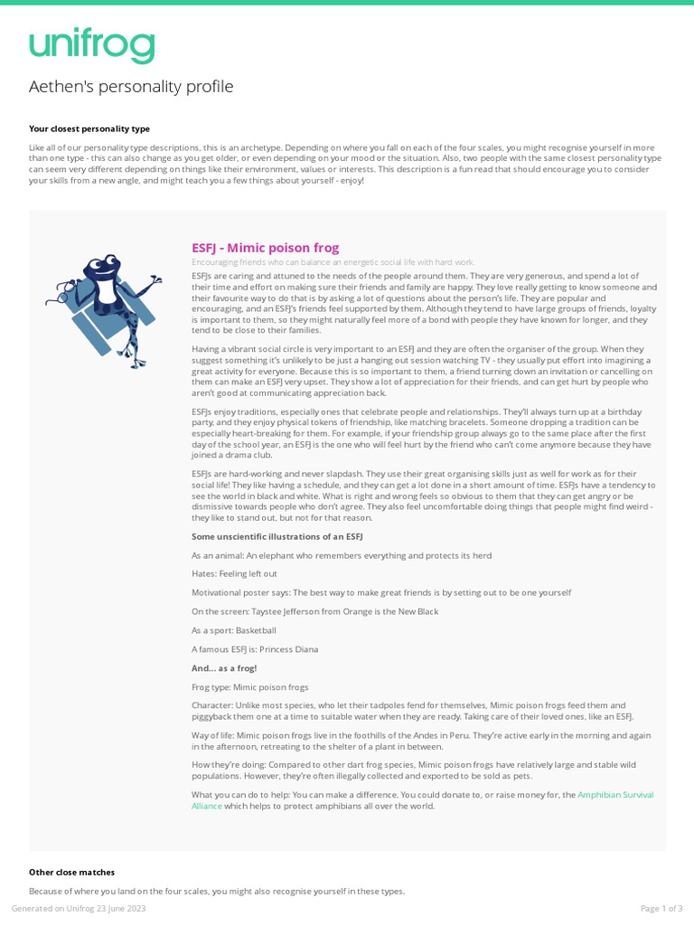 Personality Profile | PDF | Extraversion And Introversion