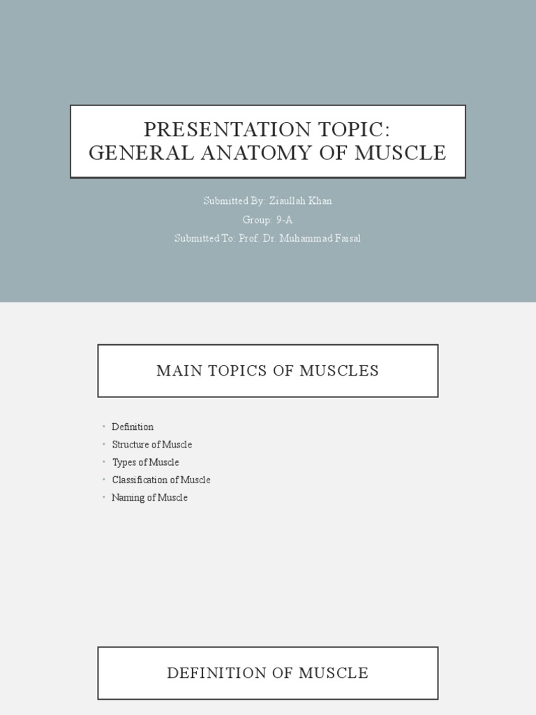 Presentation Topic: General Anatomy of Muscle | PDF | Skeletal Muscle ...