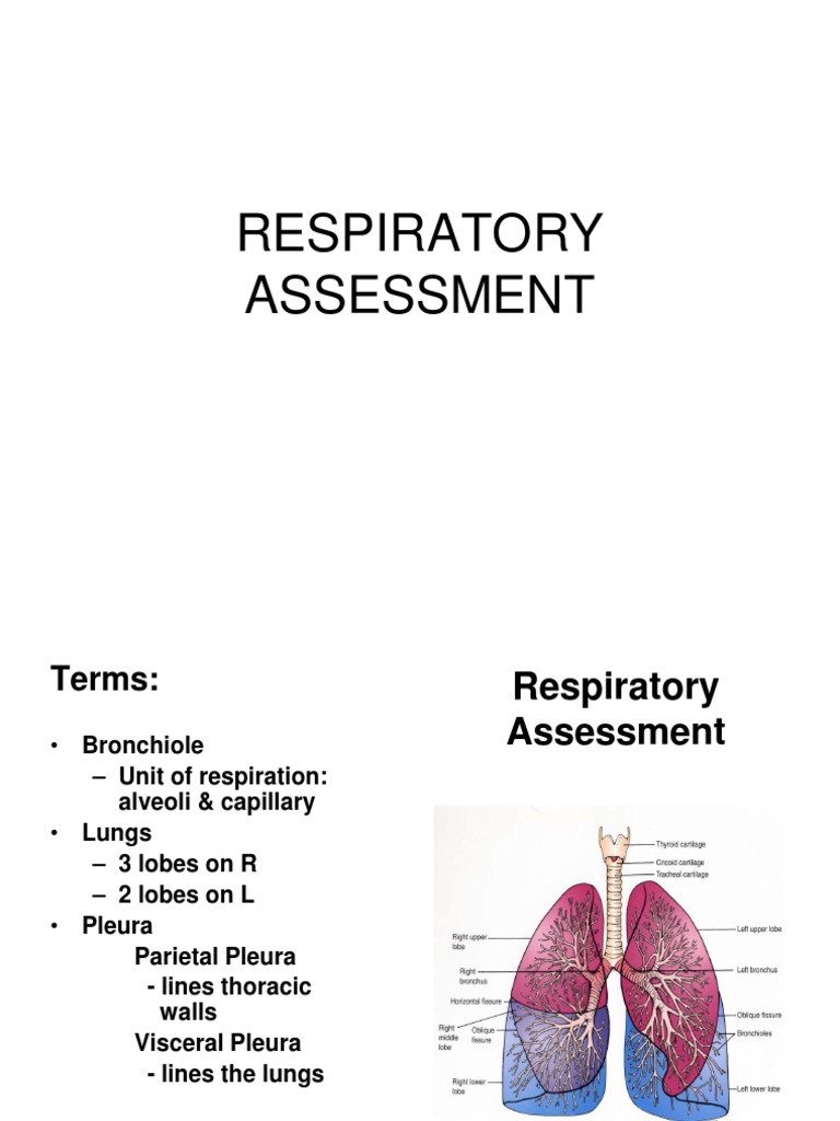PP Part 1 Respiratory Assessment | PDF | Respiratory System | Breathing