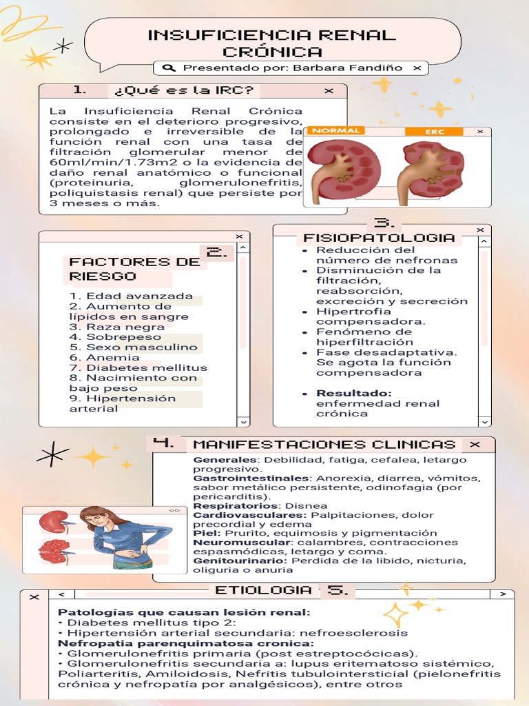 Infografia de Insuficiencia Renal Cronica | PDF | Medicina | Sistema endocrino