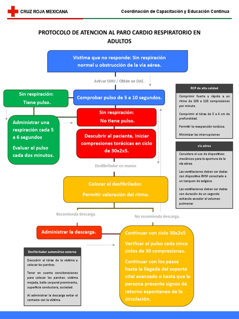 Algoritmo BLS | PDF | Reanimación cardiopulmonar | Fisiología