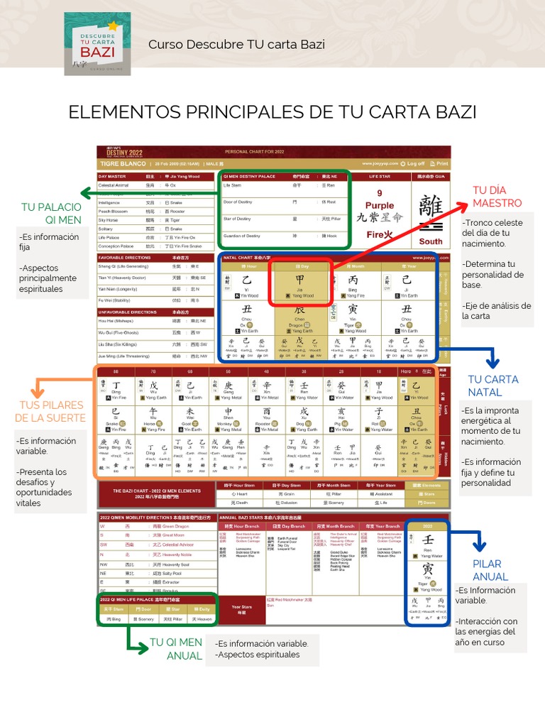 TU BaZi - Apunte 4 - Elementos principales | PDF