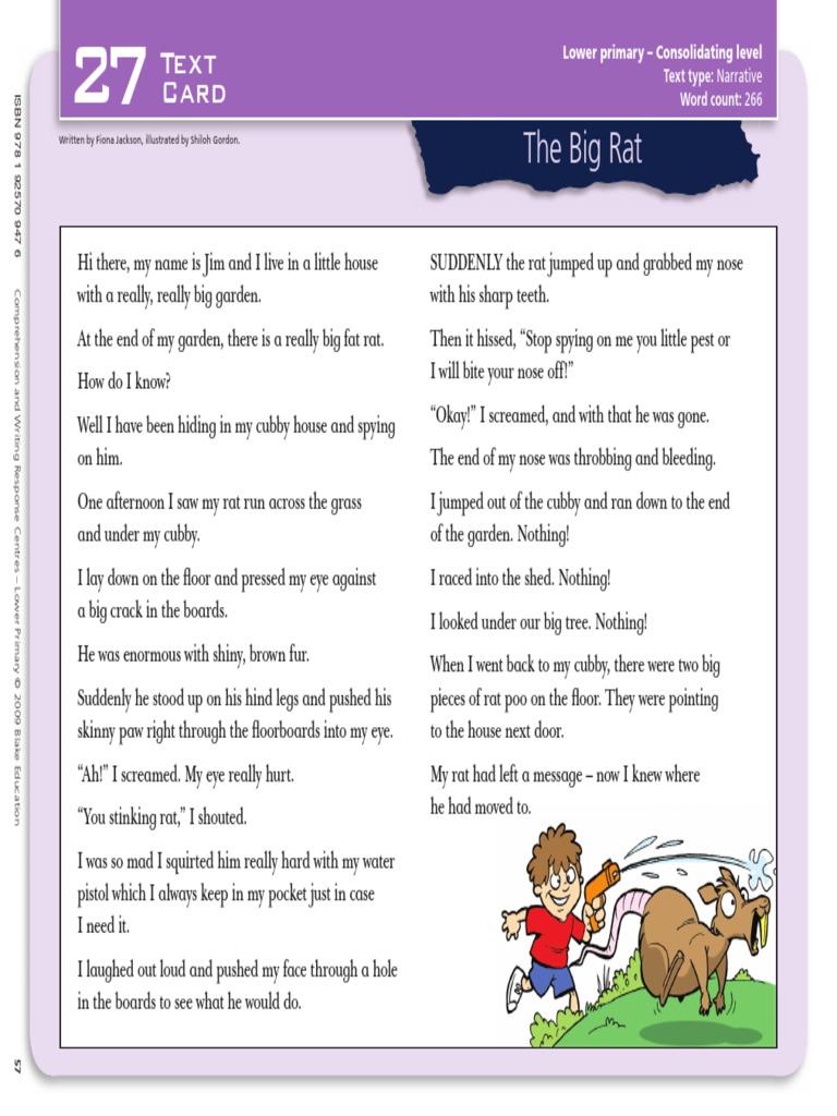 The Big Rat | PDF | Rat