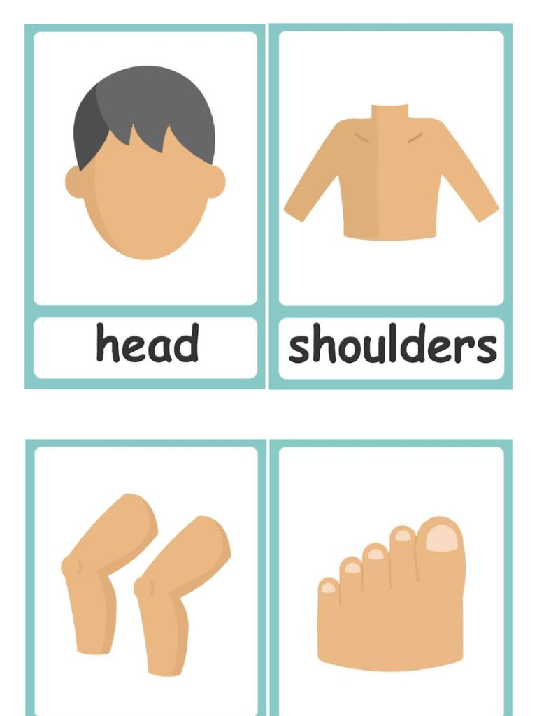 Body Parts | PDF