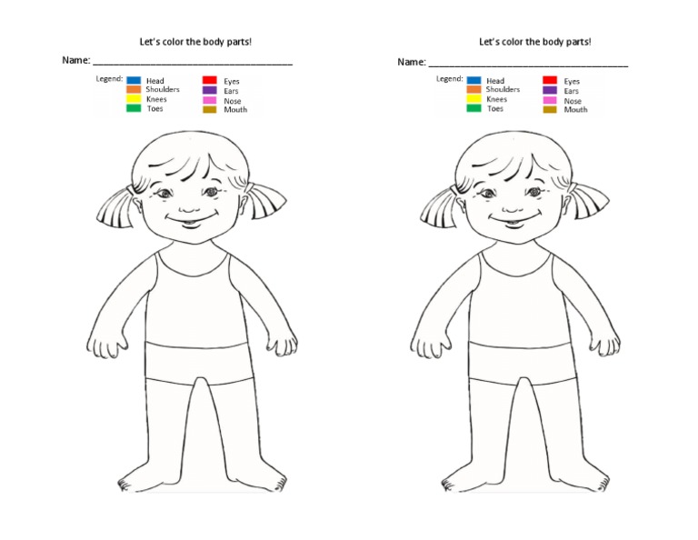 Color The Body Parts | PDF