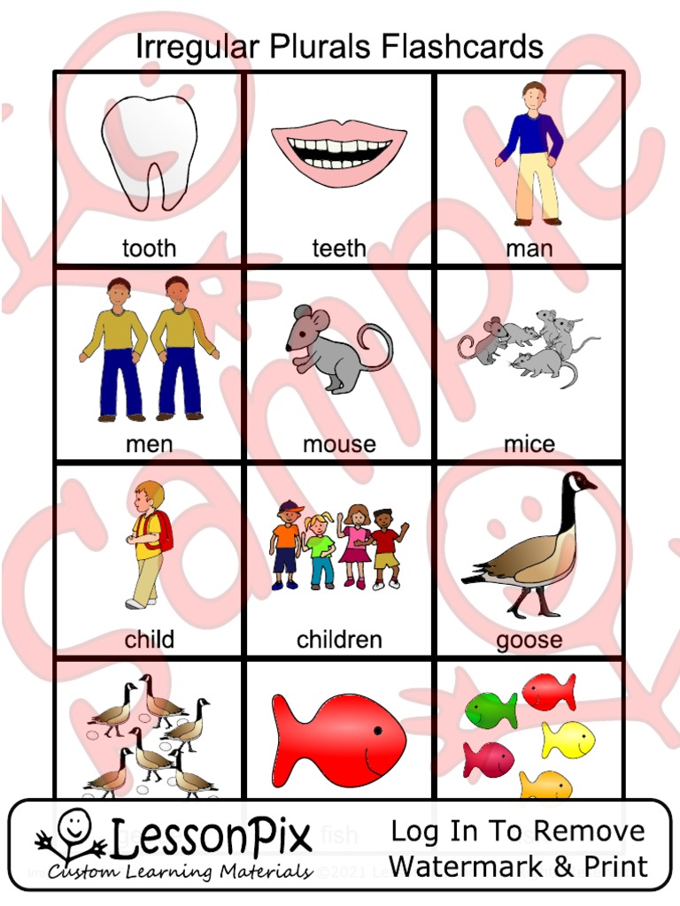 Irregular+Plurals+Flashcards Material 13053893 | PDF