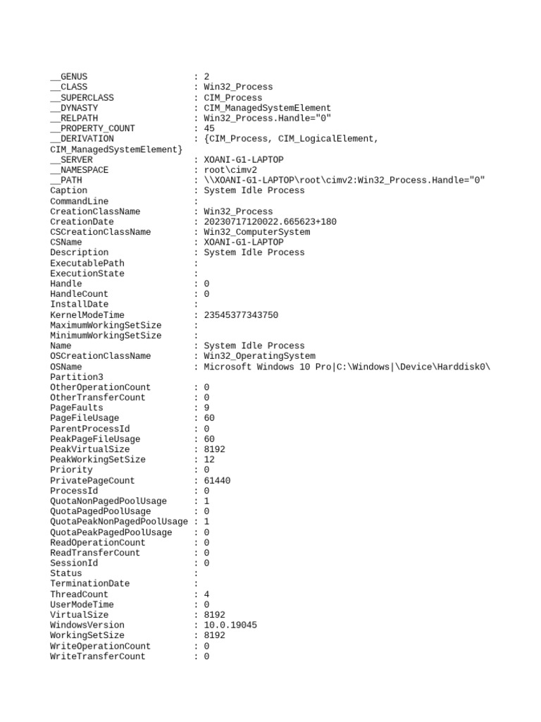 Process Details Output | PDF | Command Line Interface | Computer Architecture