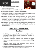 Rosie The Transgenic Cow | PDF