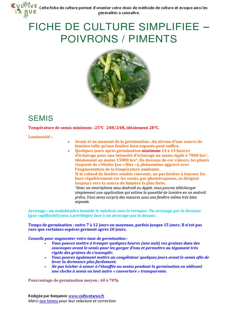 Fiche Culture Simplifiée: Poivrons/Piments | PDF | Germination | Plantes