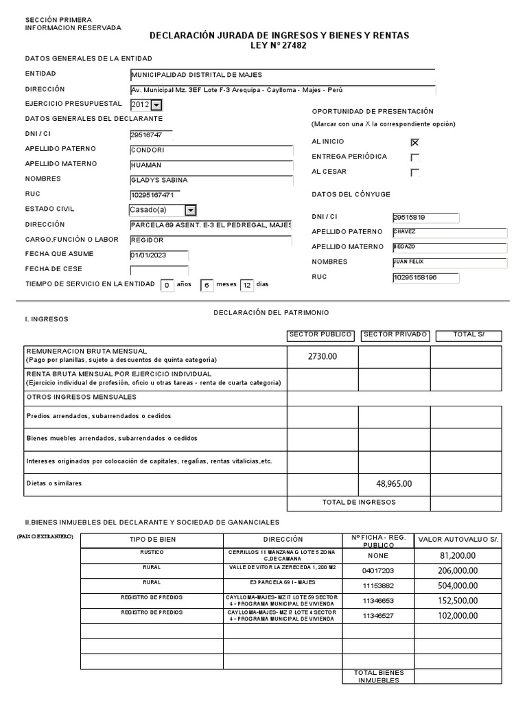 Formulario - DDJJ - 2023 | PDF | Economias