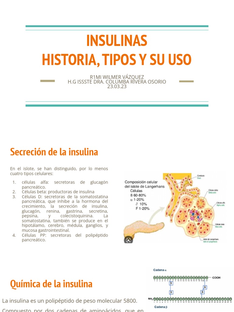 INSULINAS | PDF | Insulina | Sistema endocrino