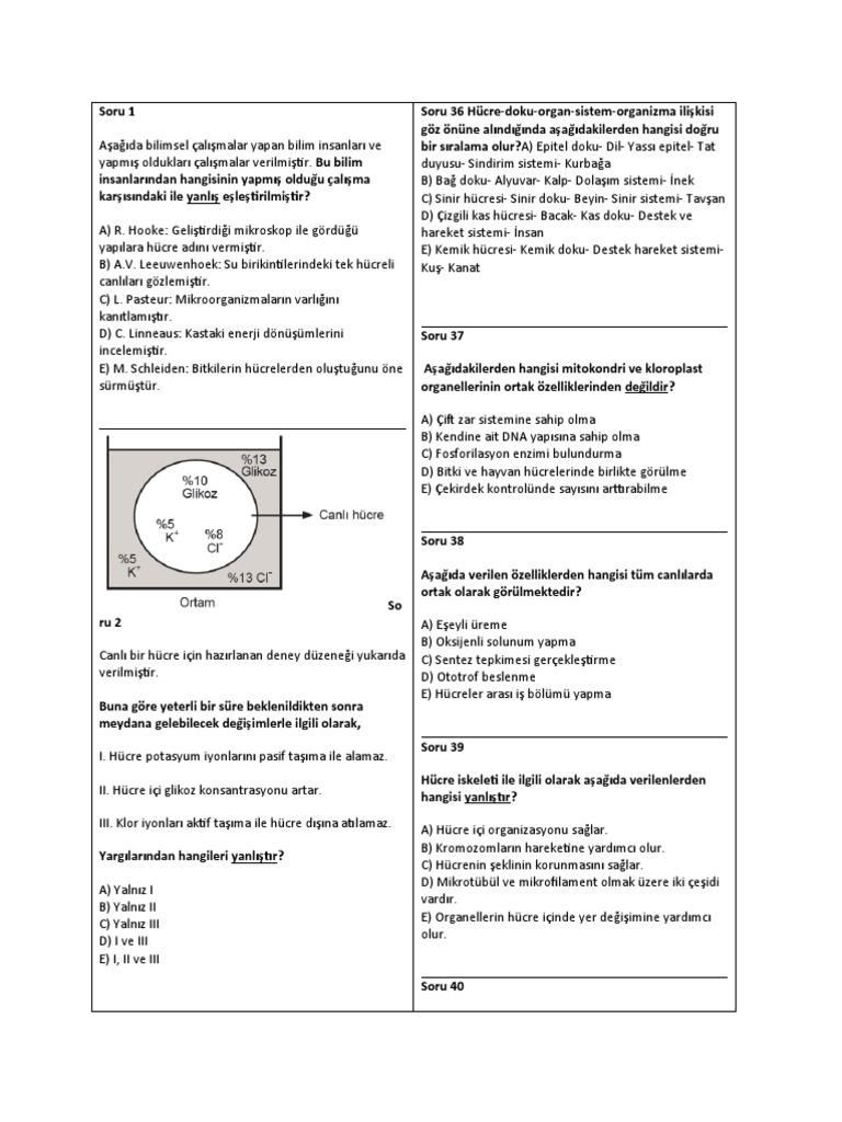 Hucre 9. Sinif | PDF