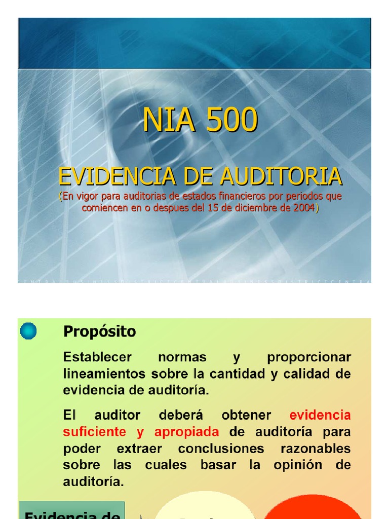 Nia 500 | PDF | Auditoría | Business