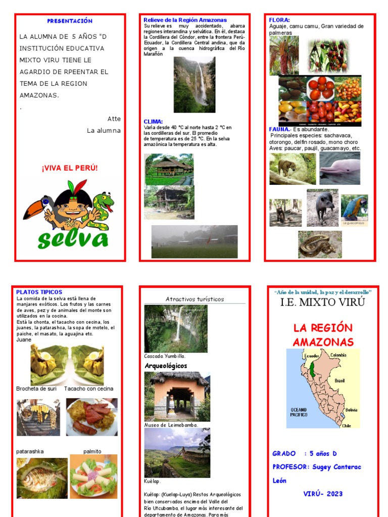 Triptico Selva Hoy | PDF