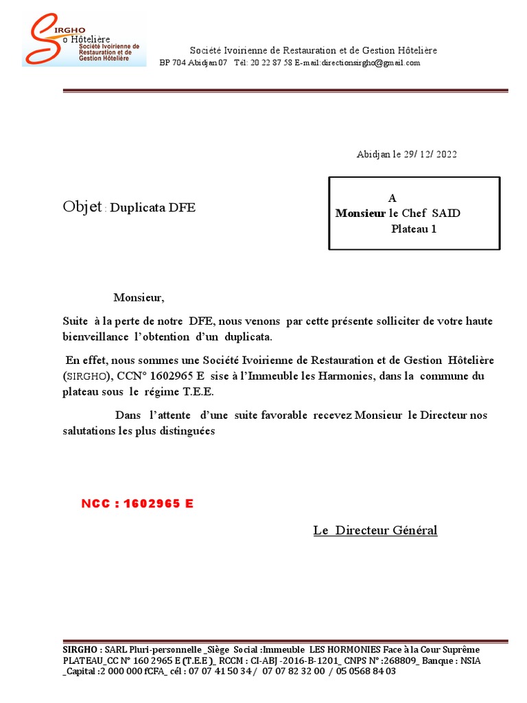 Demande de Dfe 1 | PDF